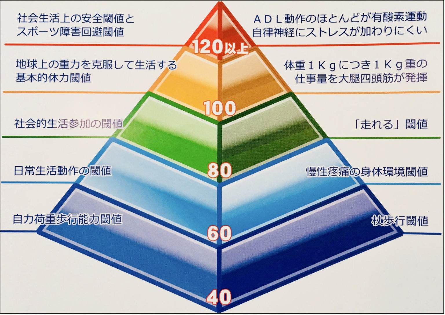 『体力、足りてますか？』 WBIについて解説-メディカルフィットネスViPro代々木上原-